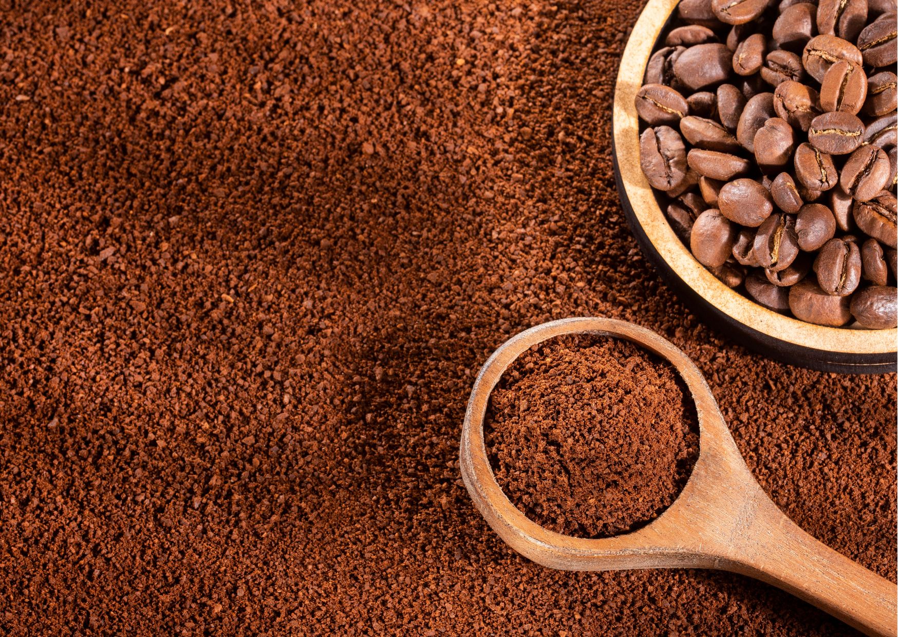 Cuatro características que hacen especial al café guatemalteco - Dale ...